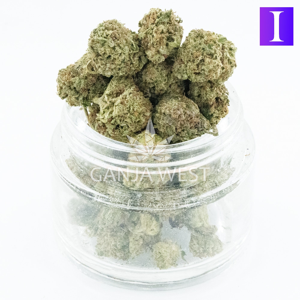 Houdini Rift AA Popcorn - Indica - Buy Weed from Ganja West Online
