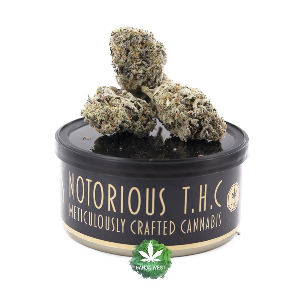 Notorious THC Craft - LA Confidential (7 Grams) - Ganja West Dispensary
