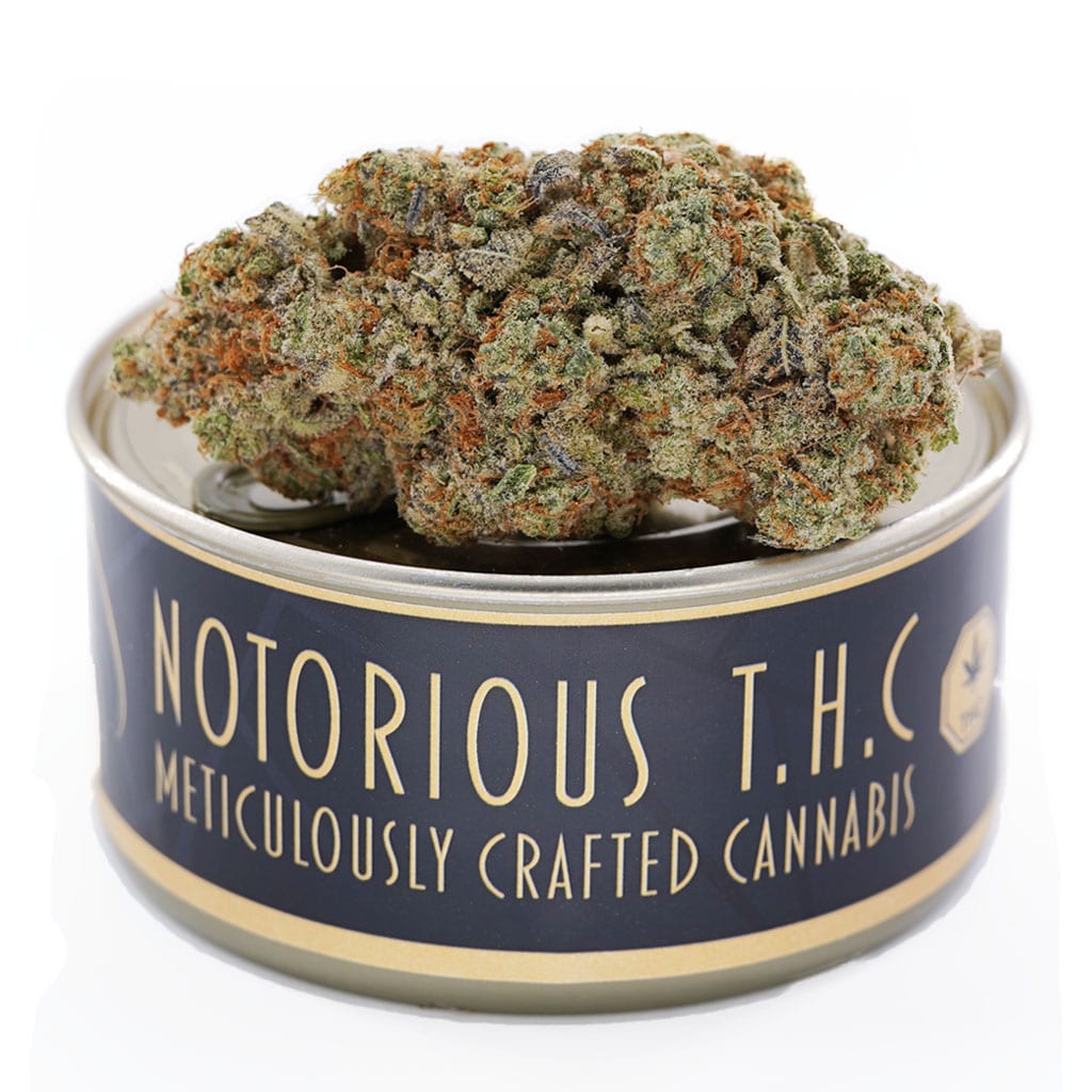 Notorious THC Craft - Peanut Butter Breath (7 Grams) - Ganja West