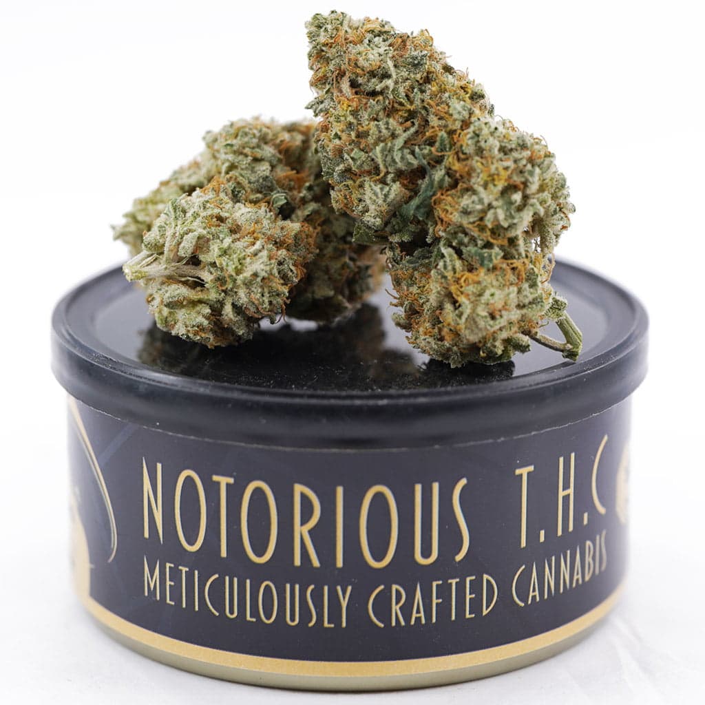 Notorious THC Craft - Pineapple Glue Crasher (7 Grams) - Ganja West