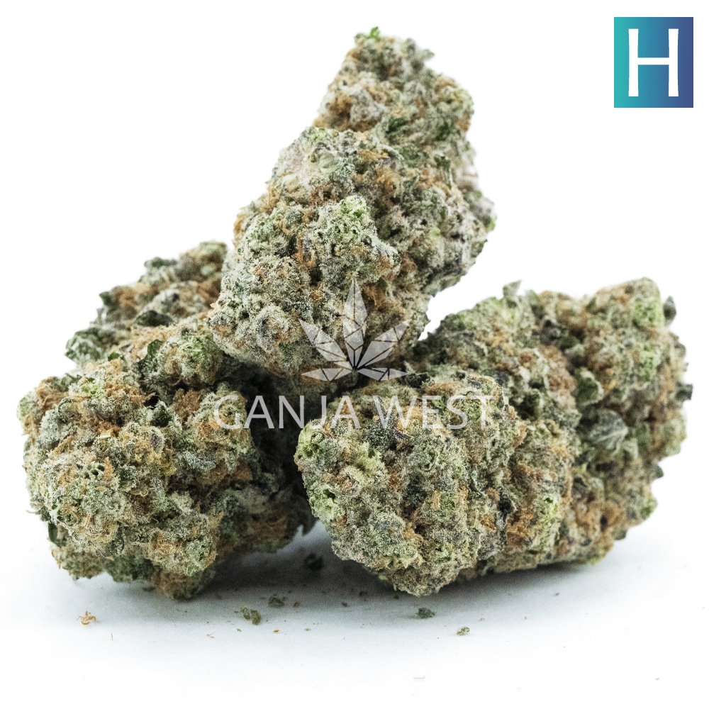 Purple Trainwreck Craft - Hybrid - Ganja West Online Dispensary Canada