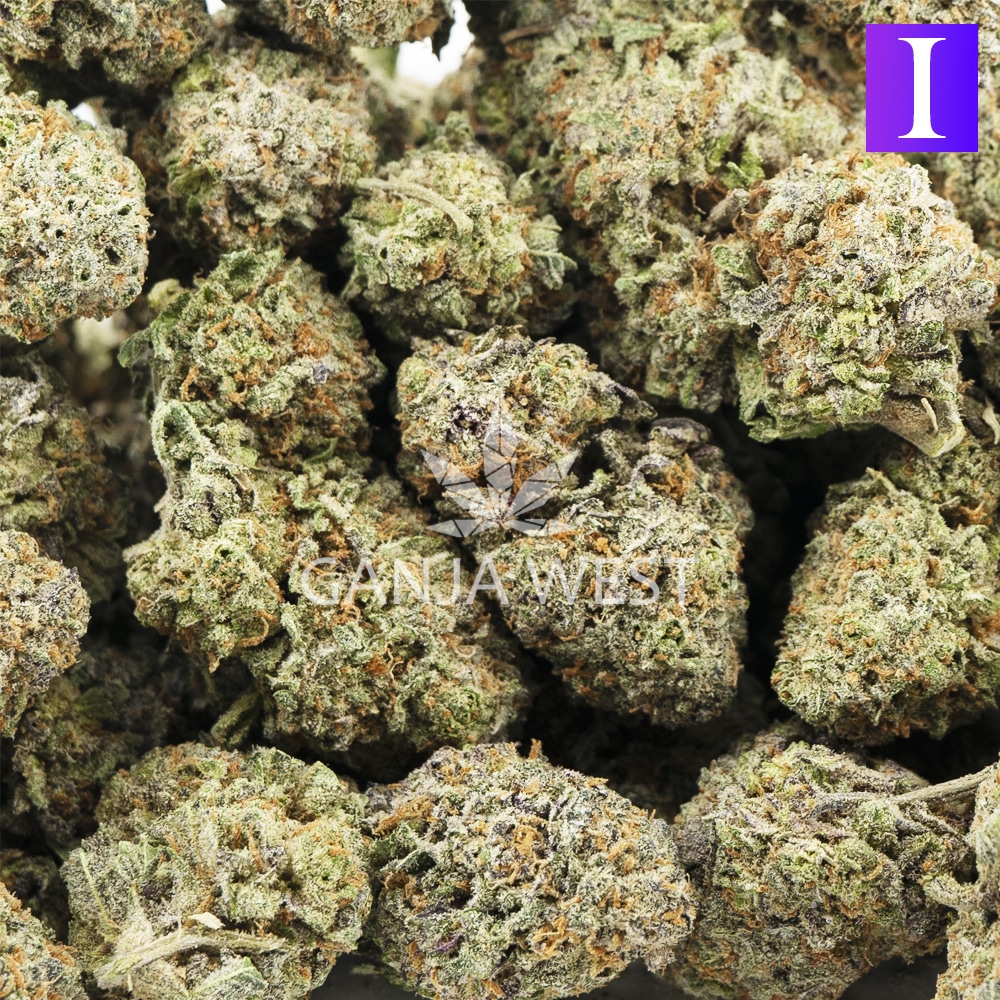 Underdog OG AAA - Indica - Buy Weed Online Ganja West Dispensary