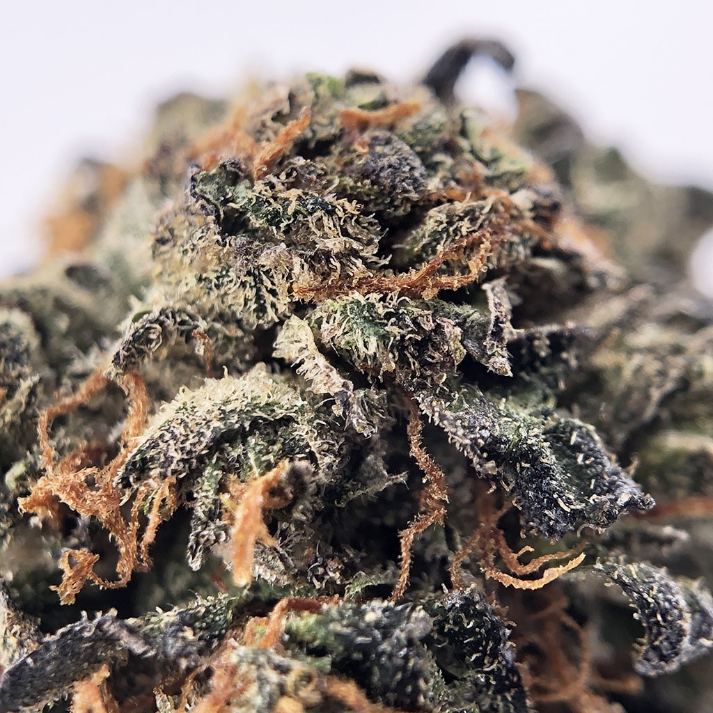 Wholesale - AAA - Alien OG - Hybrid - Ganja West Online Dispensary