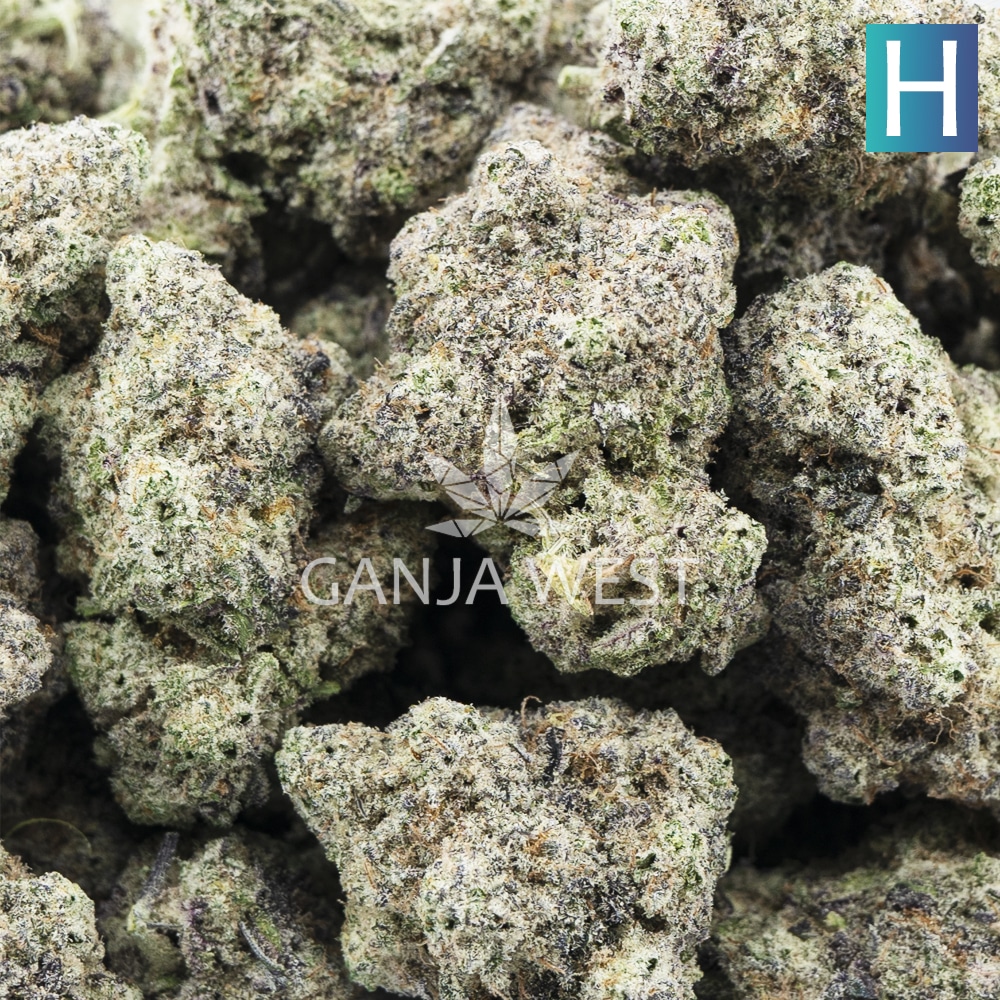 Wholesale - High Octane OG - AAAA - Ganja West Online Dispensary