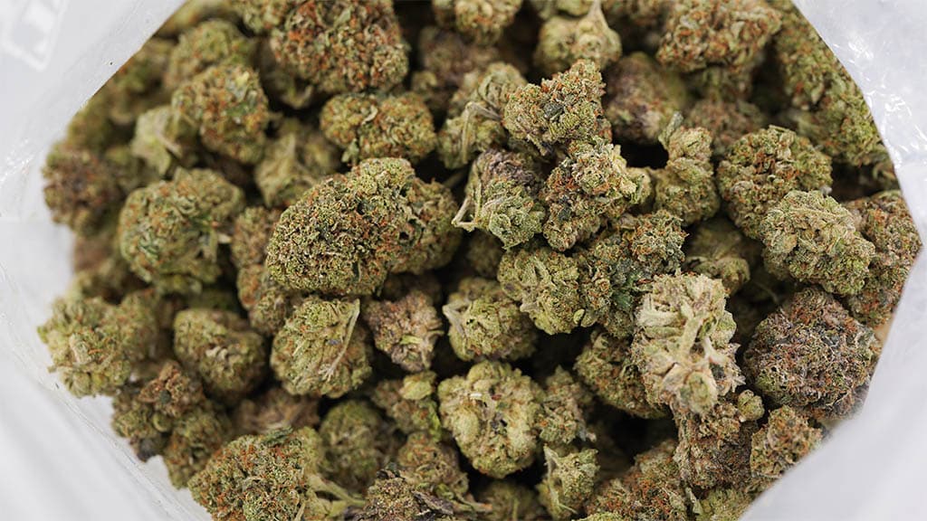 Wholesale – Hog's Breath - AA - Ganja West Online Dispensary