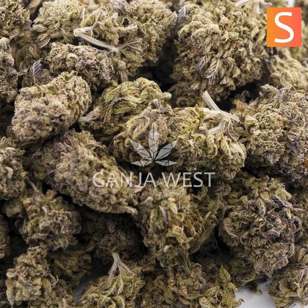 Wholesale - Mendo Queen - AAA - Ganja West Online Dispensary