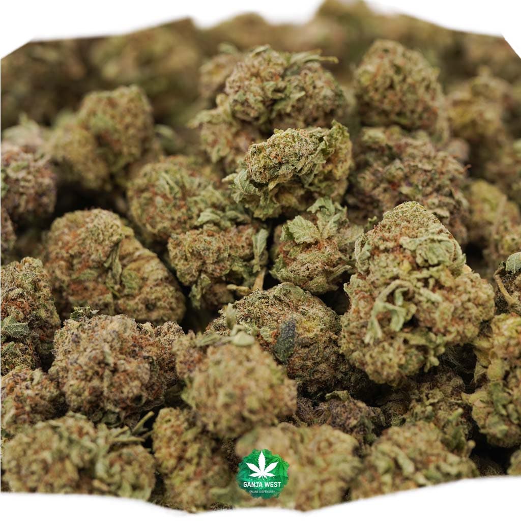 Wholesale – Pink Picasso AA - Ganja West Online Dispensary in Canada