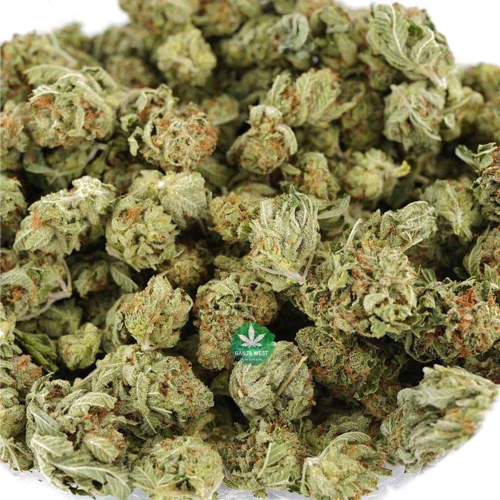 Wholesale - Predator Pink AA - Ganja West Online Canada in Dispensary