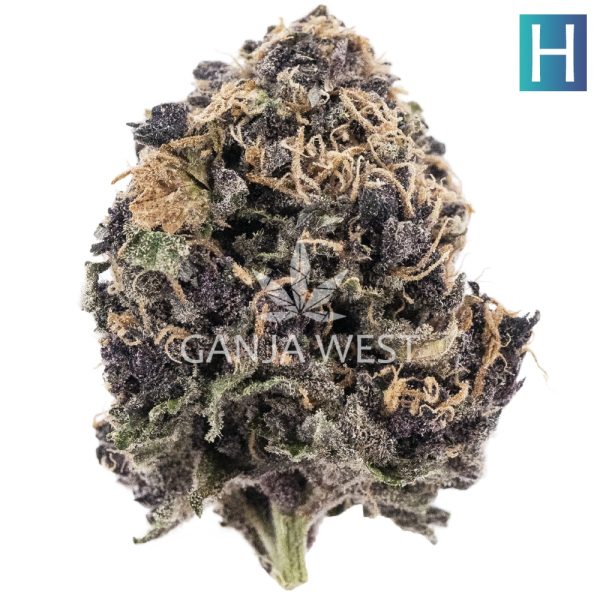 AAA Archives - Ganja West