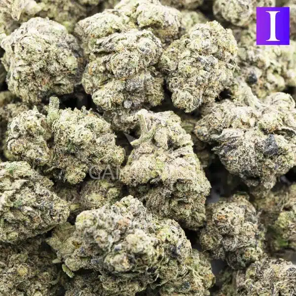 Galactic Runtz Craft - Indica - Ganja West Online Dispensary