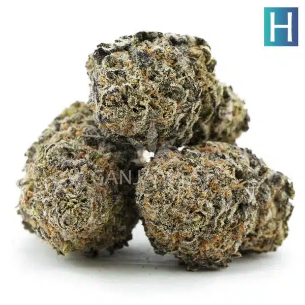 Burmese Kush AAA - Hybrid - Ganja West Online Dispensary.