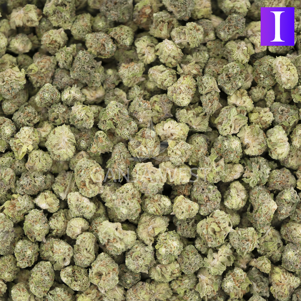 Blue Truffle AAAA Popcorn - Indica - Ganja West Online Dispensary Blue Truffle AAAA Popcorn - Indica - Ganja West Online Dispensary