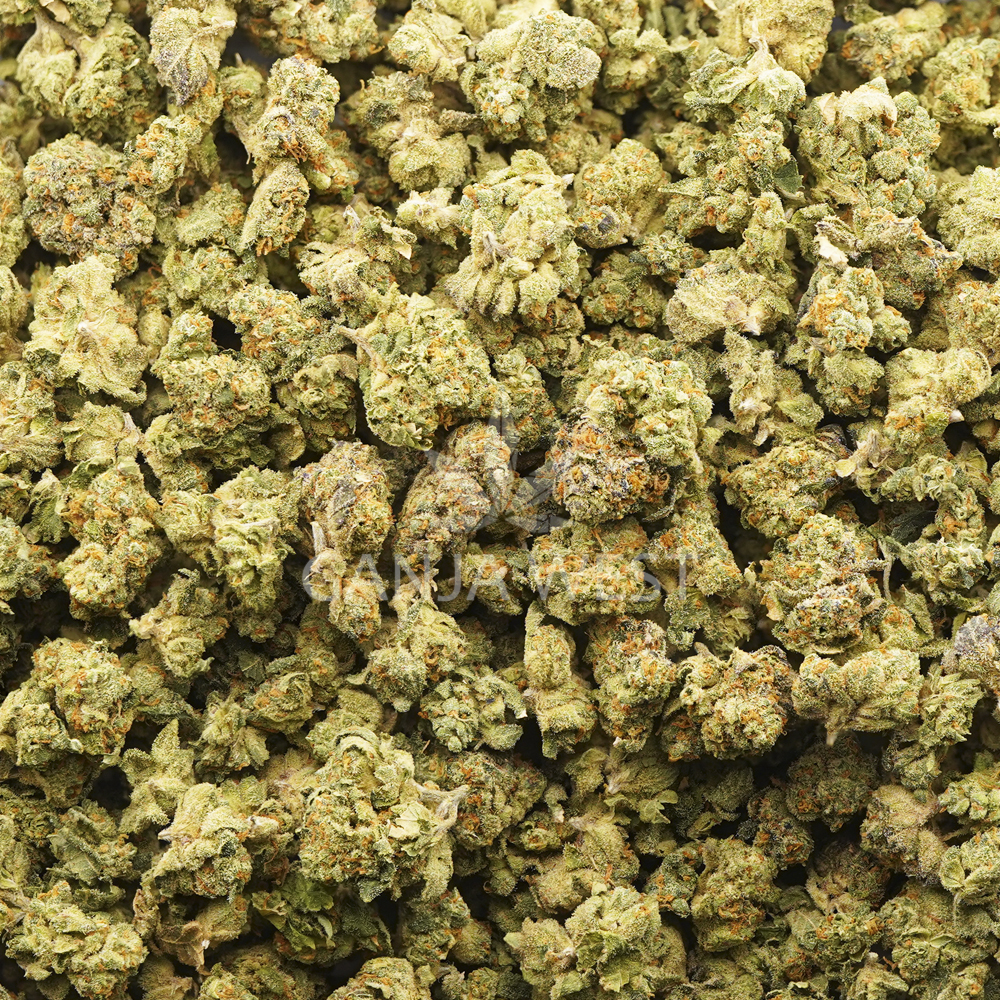 Wholesale Popcorn - Pie Face - AA - Ganja West Online Dispensary in Canada