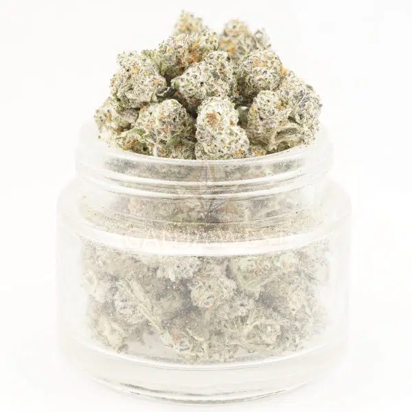 El Fuego Blanco Craft Popcorn - Hybrid - Ganja West Online Dispensary Shop