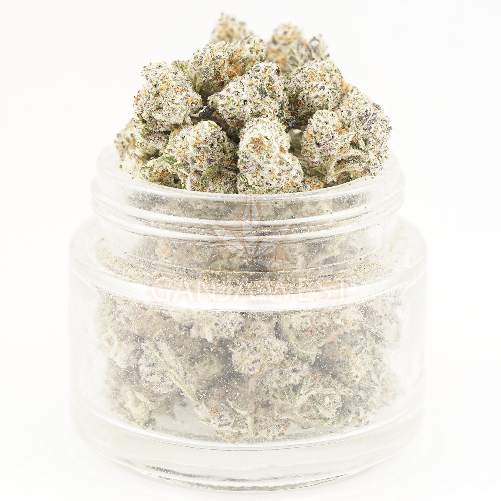 El Fuego Blanco Craft Popcorn - Hybrid - Ganja West Online Dispensary Shop