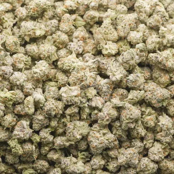 El Fuego Blanco Craft Popcorn - Hybrid - Ganja West Online Dispensary Shop