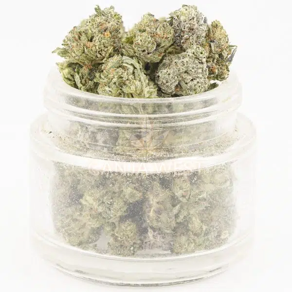 Zombie Death Fuck AAAA Popcorn - Hybrid - Ganja West Online Dispensary